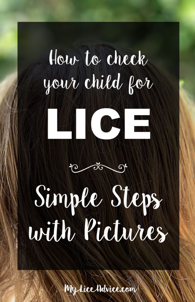 How to Check Your Child's Head for Lice: Simple Steps with Pictures