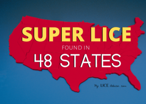 Super Lice! What They Are, How to Kill Them, and How to Prevent Them