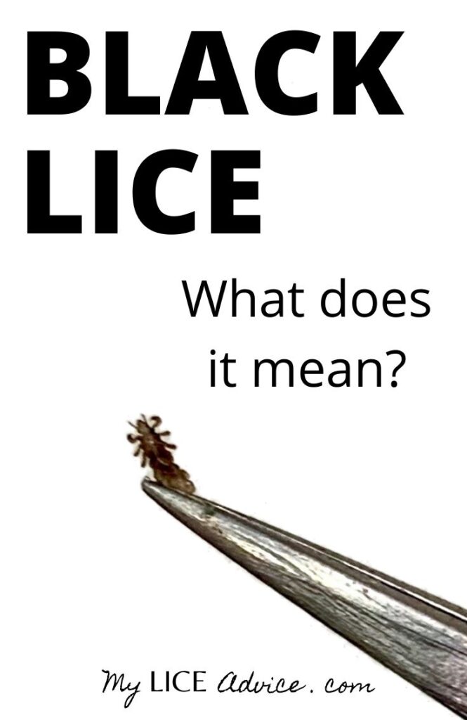 Black Lice and Lice in Black Hair (with Pictures) - My Lice Advice