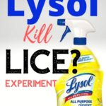 Does Lysol Kill Lice? Experiment & Video - My Lice Advice