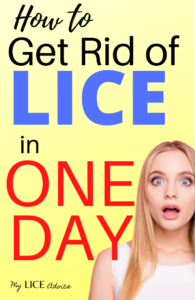 9 Best Ways to Treat Head Lice on Your Mattress, Bed, Pillow and Sheets